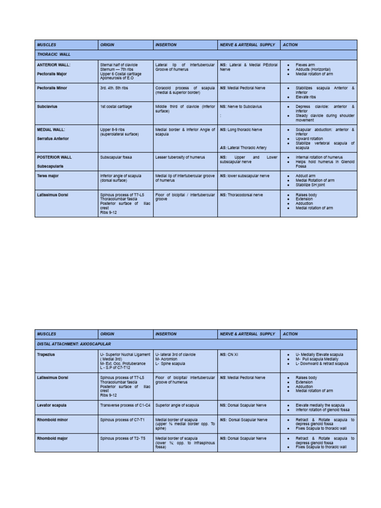 Muscles of Upper arm | PDF