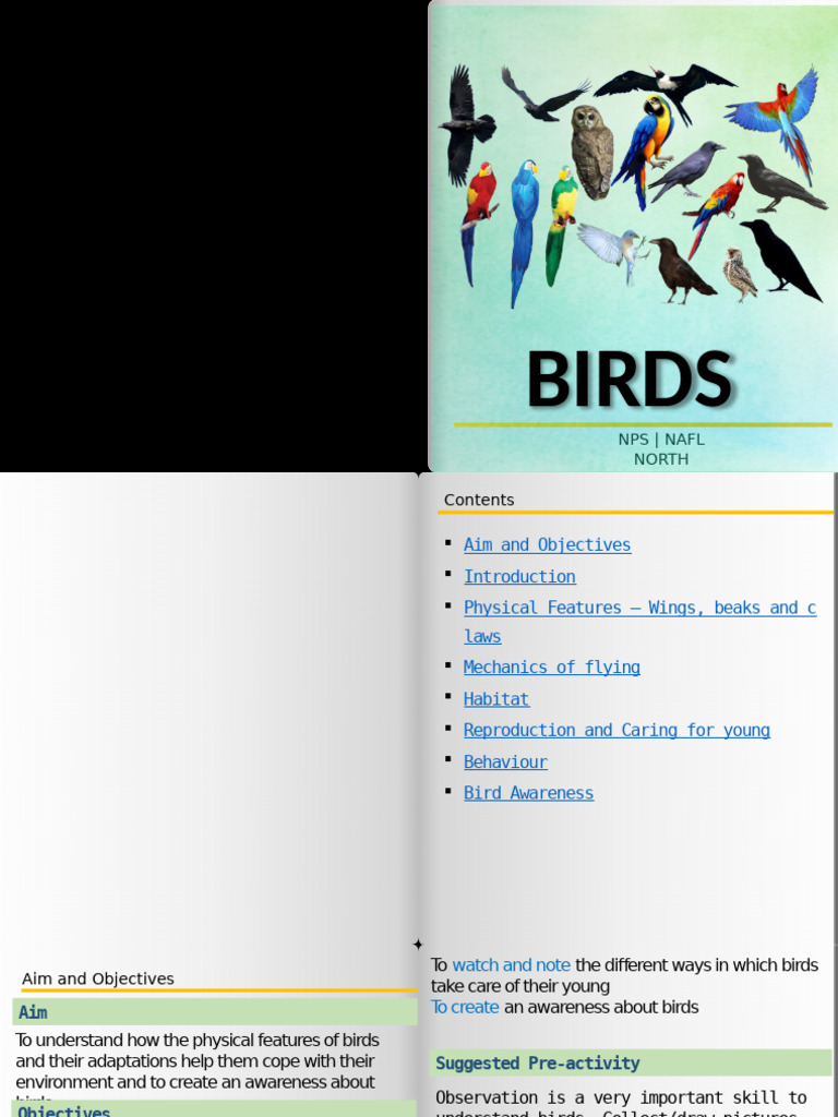 Living Things - Birds | PDF