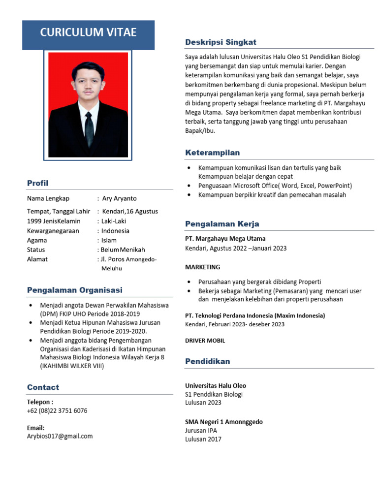 CV Terbaru Ary 3 | PDF