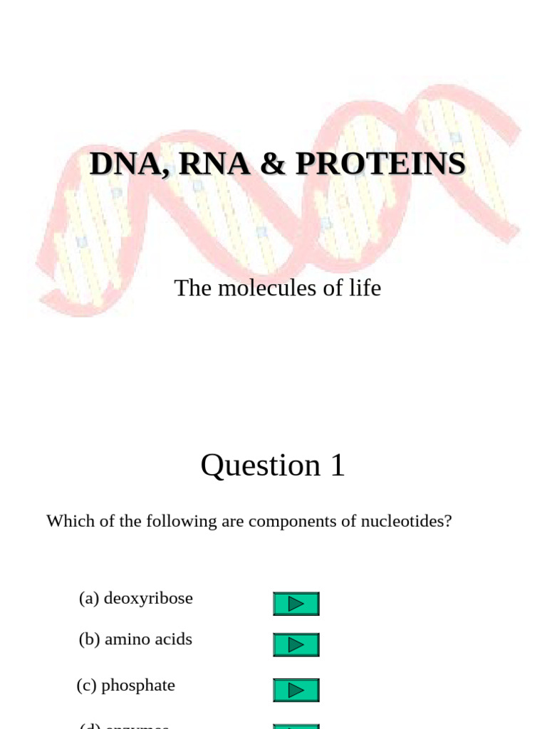 Chapter 11 DNA Strucuture and Replication RNA and Protien Synthesis 2017 | PDF
