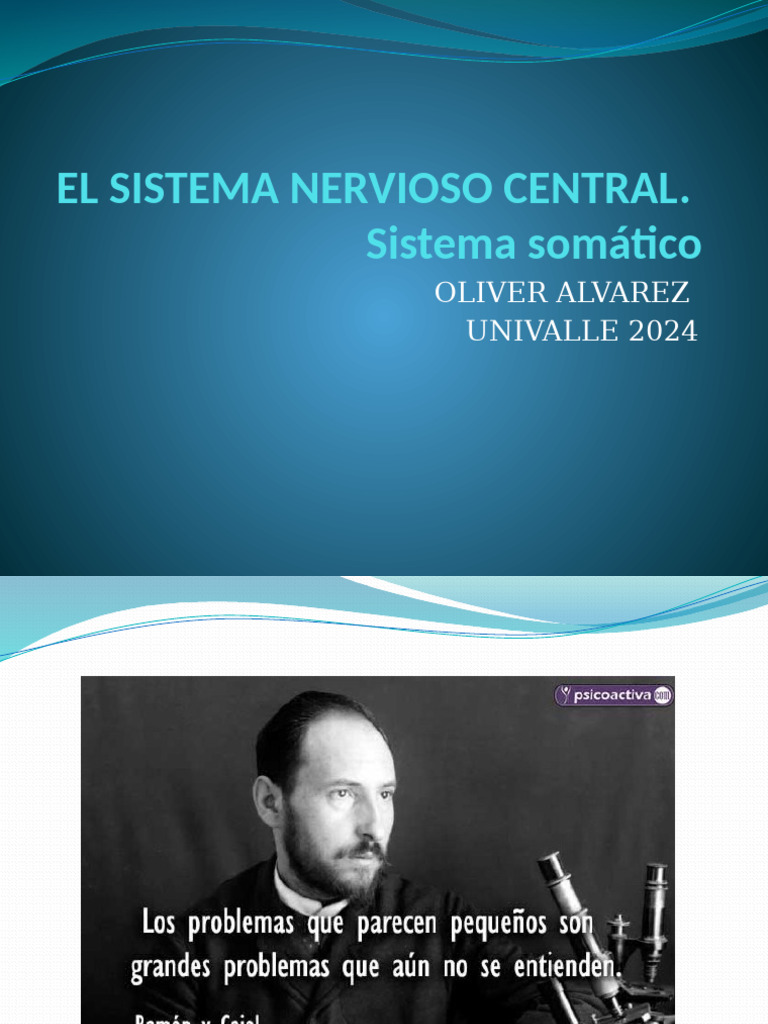 CLASE 2. EL SNC Sistema Somatico | PDF
