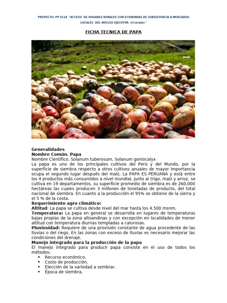 Ficha Tecnica Papa | PDF