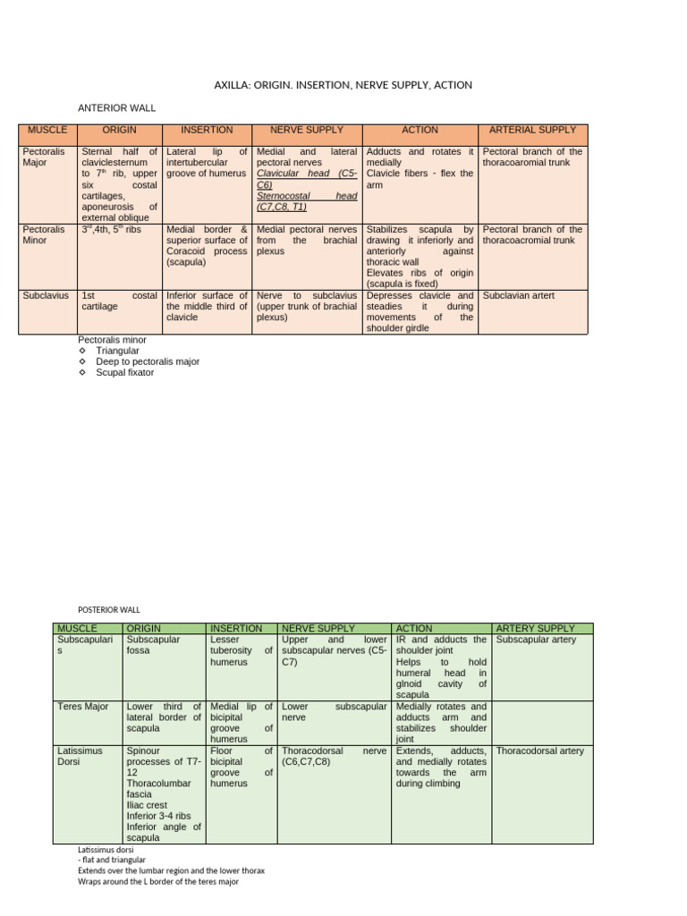 Axilla Muscle | PDF