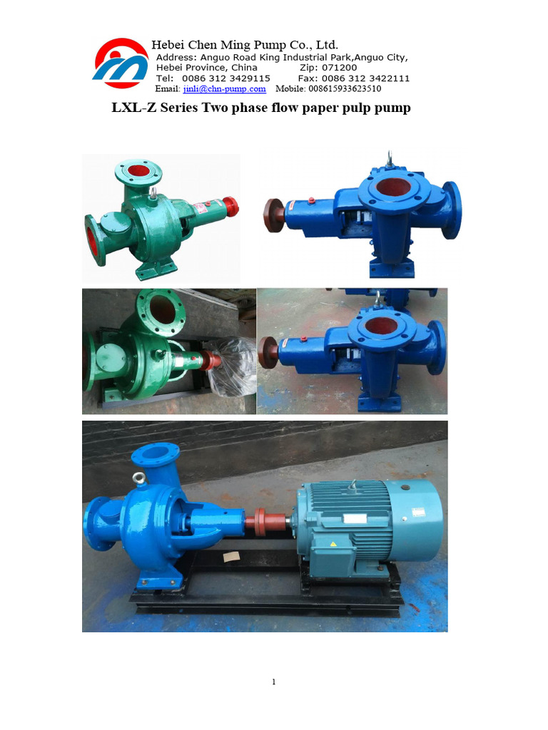 LXL-Z Pulp Pump Catalogue With Installation Details | PDF