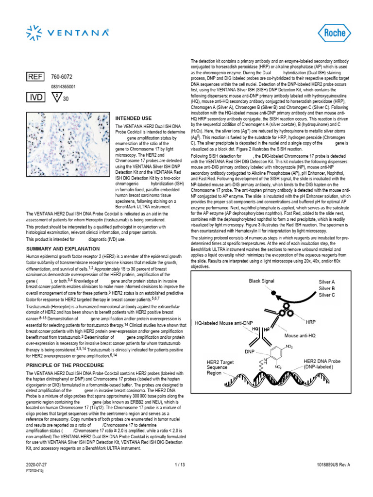 VENTANA HER2 Dual ISH Method Sheet | PDF
