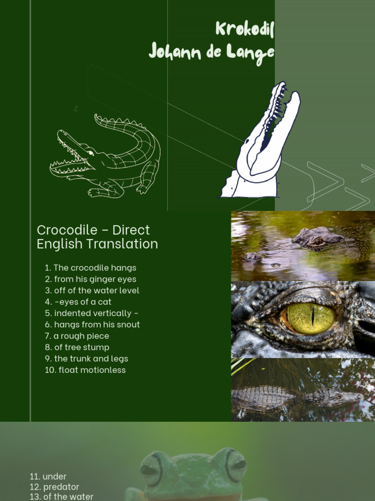 GEDIG - Krokodil CLundie 2024 - 20240819 - 124132 - 0000 | PDF