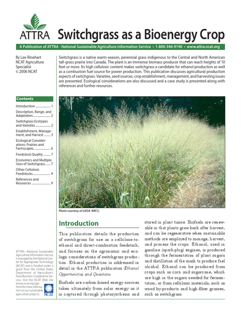 Switch Grass As A Bioenergy Crop ATTRA | PDF | Home & Garden ...