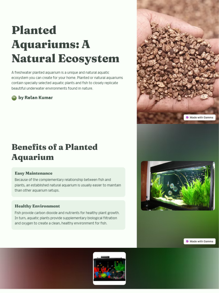Planted Aquariums A Natural Ecosystem | PDF | Aquarium | Environmental ...