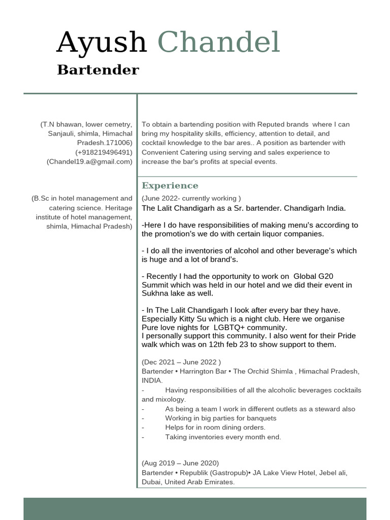 2023 Ayush Chandel CV Word | PDF