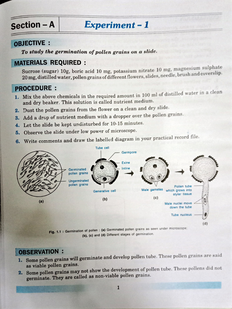 XII Biology Practical Ex No. 1 | PDF