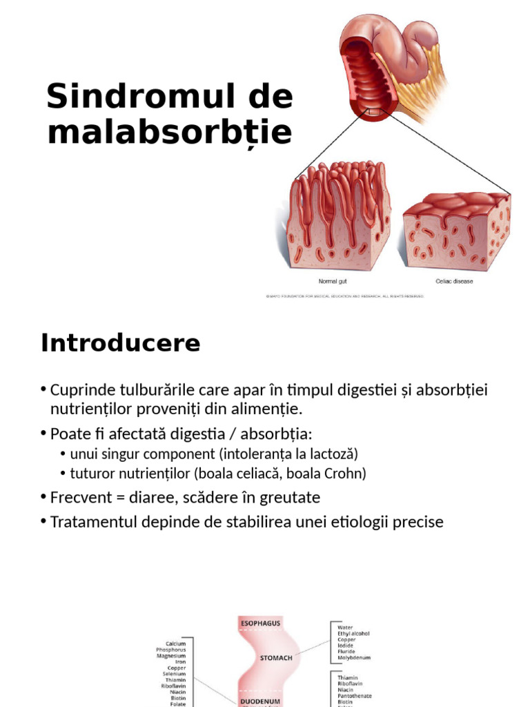 07 Sindromul de Malabsorbtie | PDF