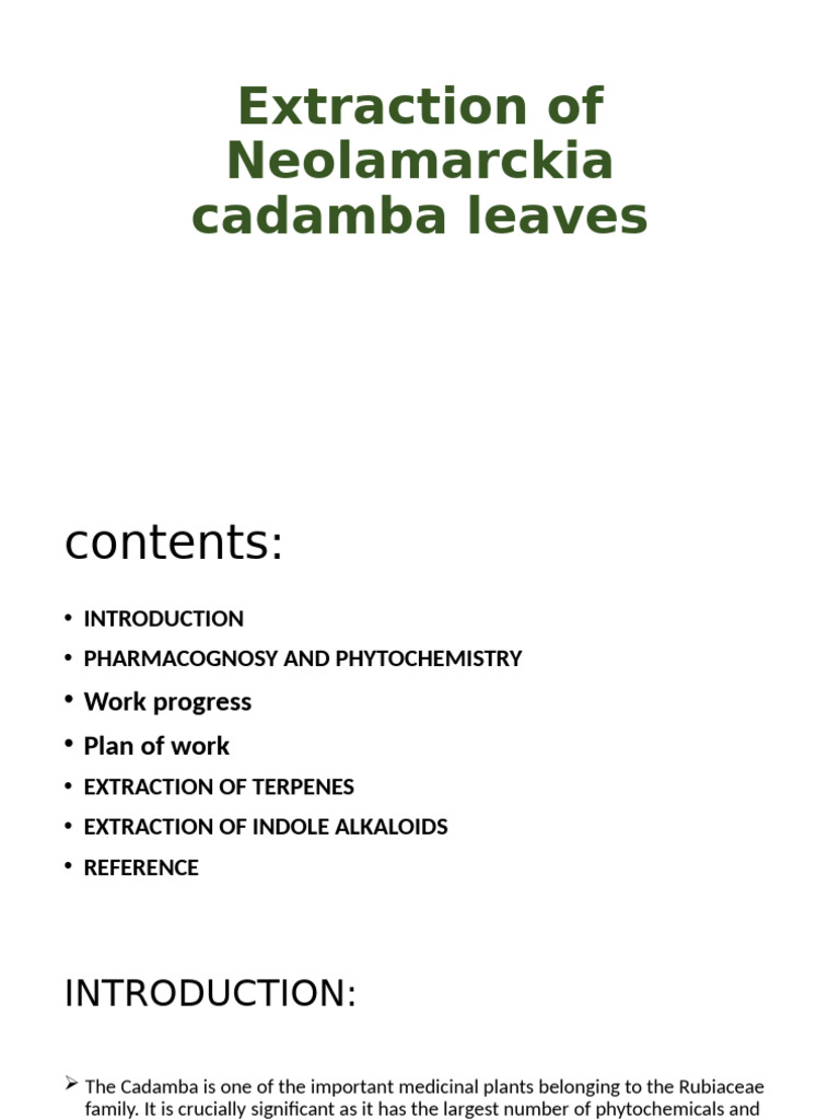 Extraction of Neolamarckia Cadamba Leaves | PDF | Magnesium | Solvent