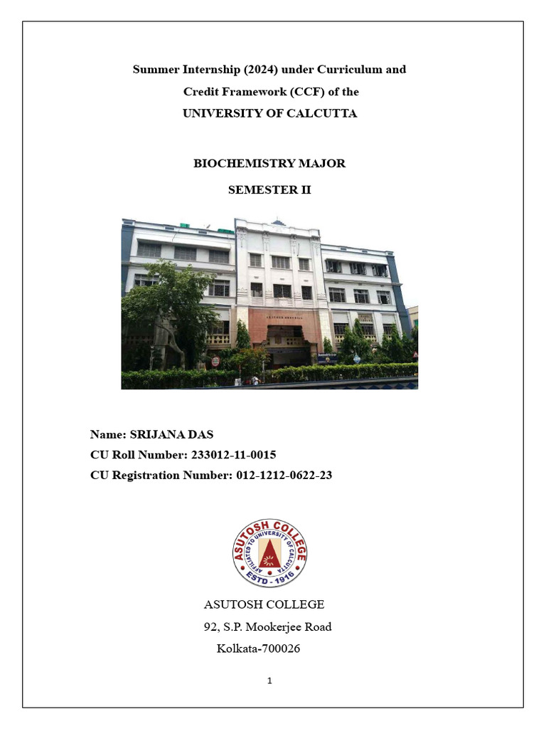 Summer Internship Project Book | PDF