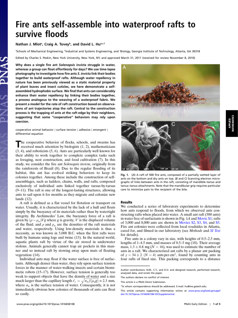 PNAS Ant Raft | PDF