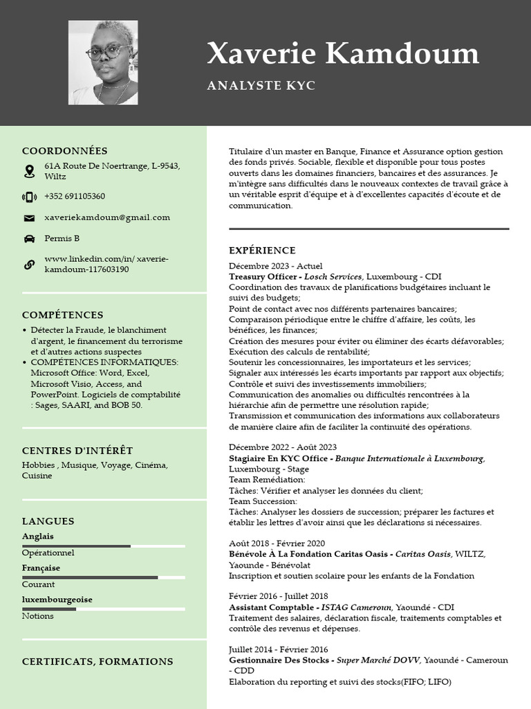 Xaverie Kamdoum CV 2 | PDF