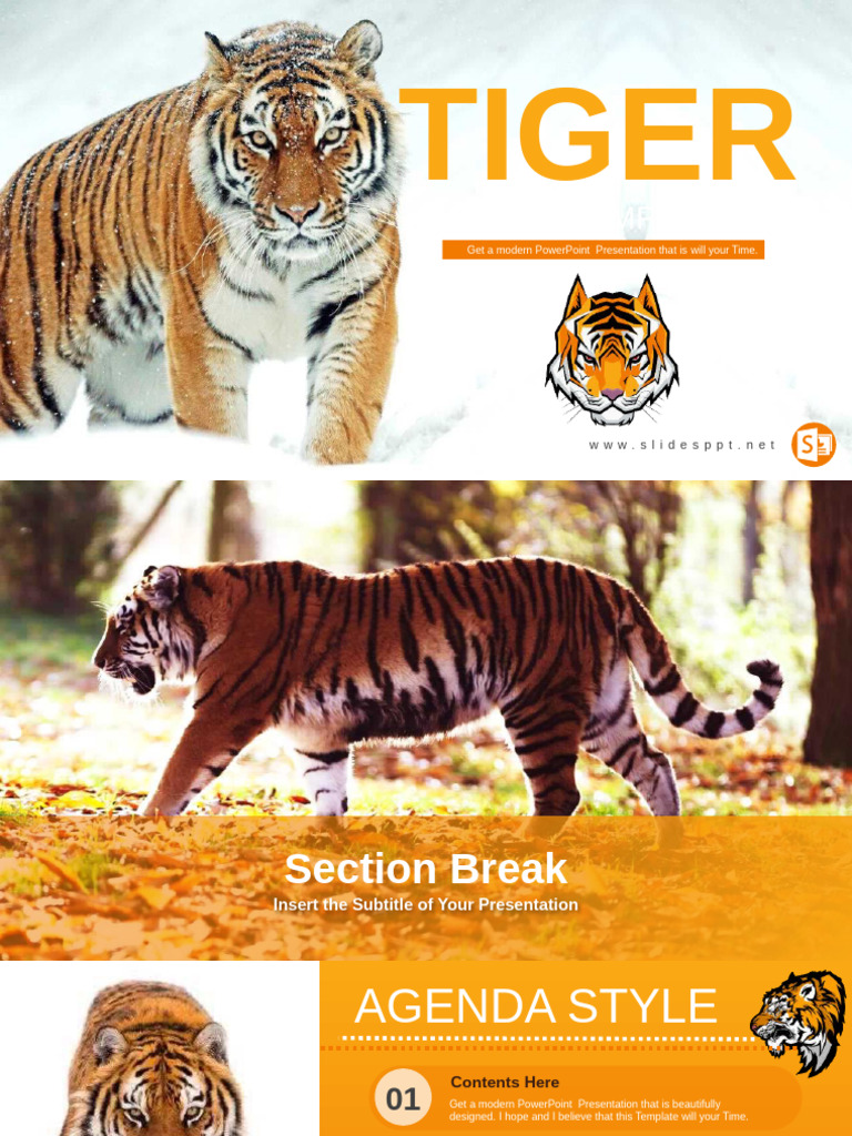 Tiger Template | PDF