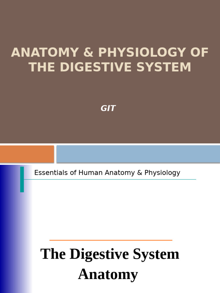 Anatomy & Physiology of The Digestive System | PDF
