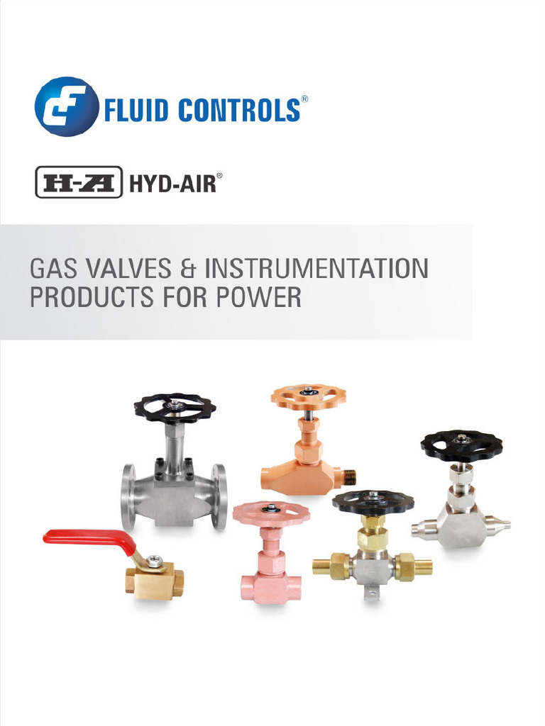 Fluid Controls Gas Valves | PDF