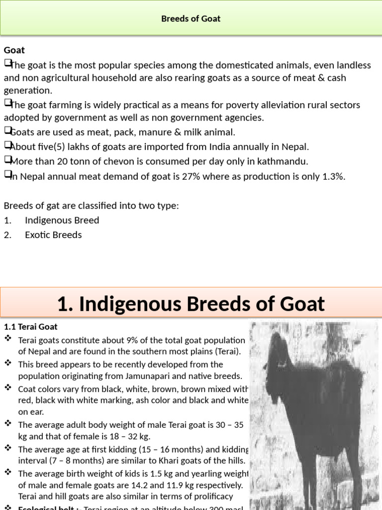 Breeds of Goat | PDF