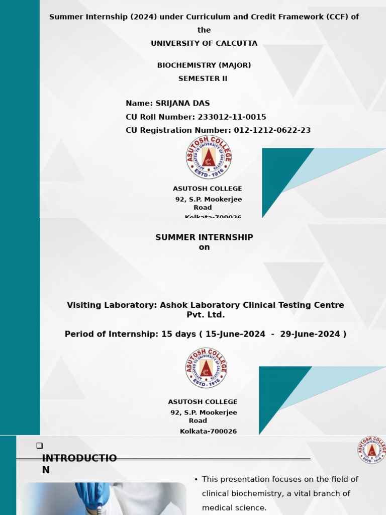 Summer Internship PPT 2 | PDF