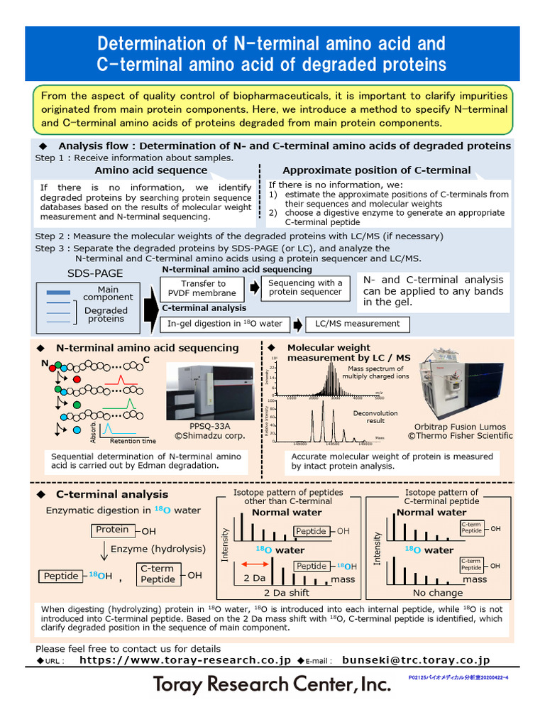 Determination - of - N-Terminal - Amino - Acid and C-Terminal Aminoacid ...