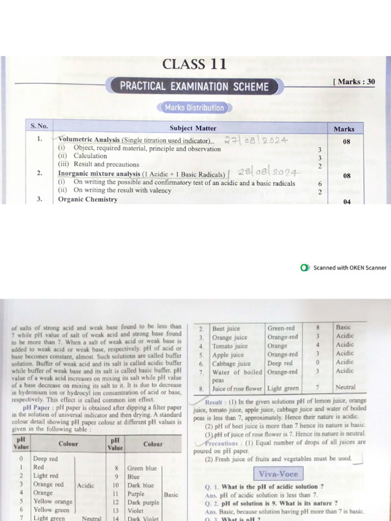 Class 11th Chemistry Practical | PDF