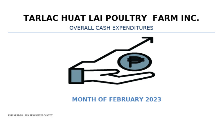 Expenses Cover | PDF