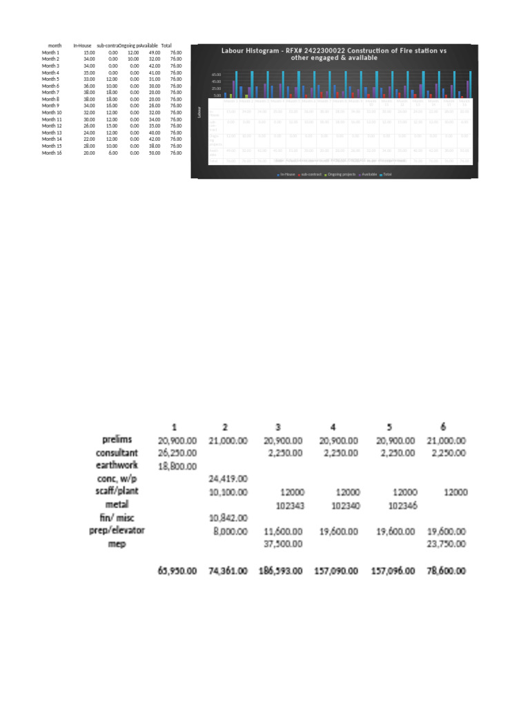 Manpower Histogram | PDF