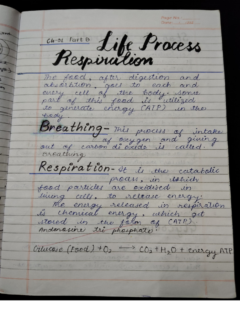 Bio ch-1 Part-B Respiration | PDF