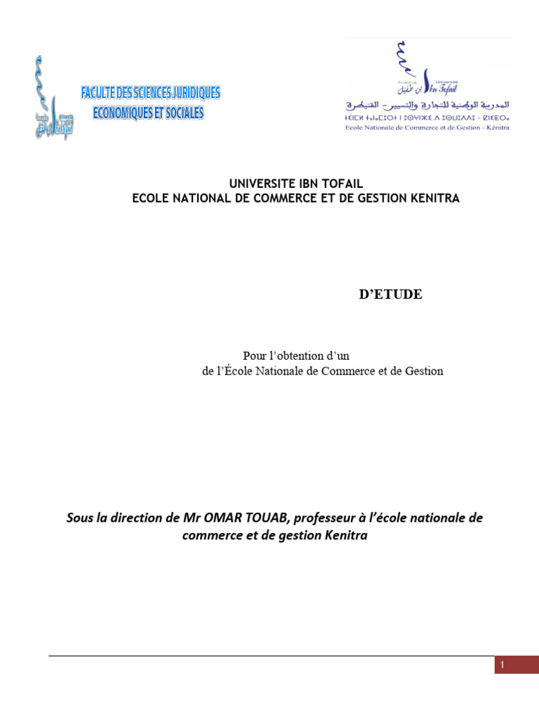 Rapport de Stage ENCG PFE | PDF