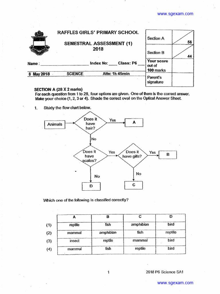 2018 P6 Science SA1 Raffles | PDF