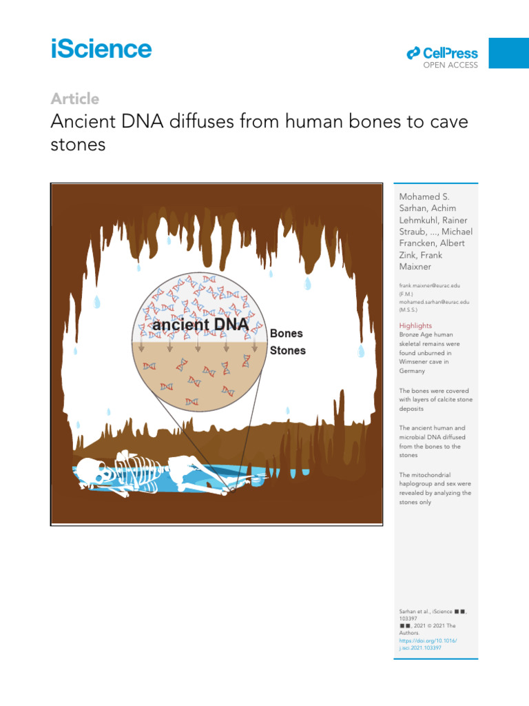 Ancient DNA Diffuses From Human Bones To Cave Ston | PDF | Genetics ...