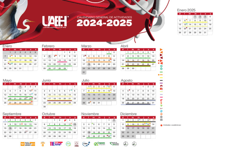 Enero 2025: Calendario General de Actividades | PDF