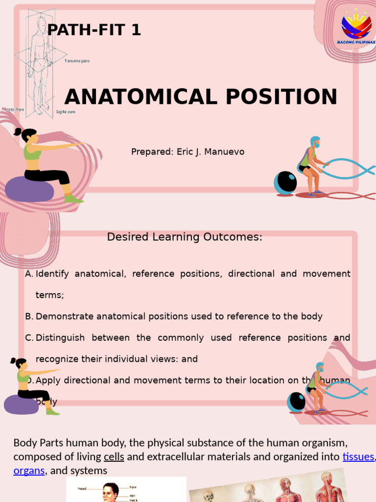 Lesson 2-Anatomical Positions | PDF