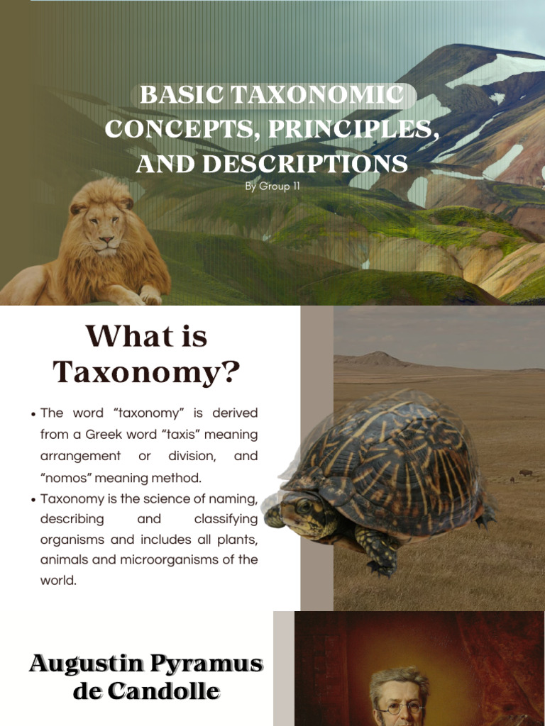 Basic Taxonomy Gr11 | PDF