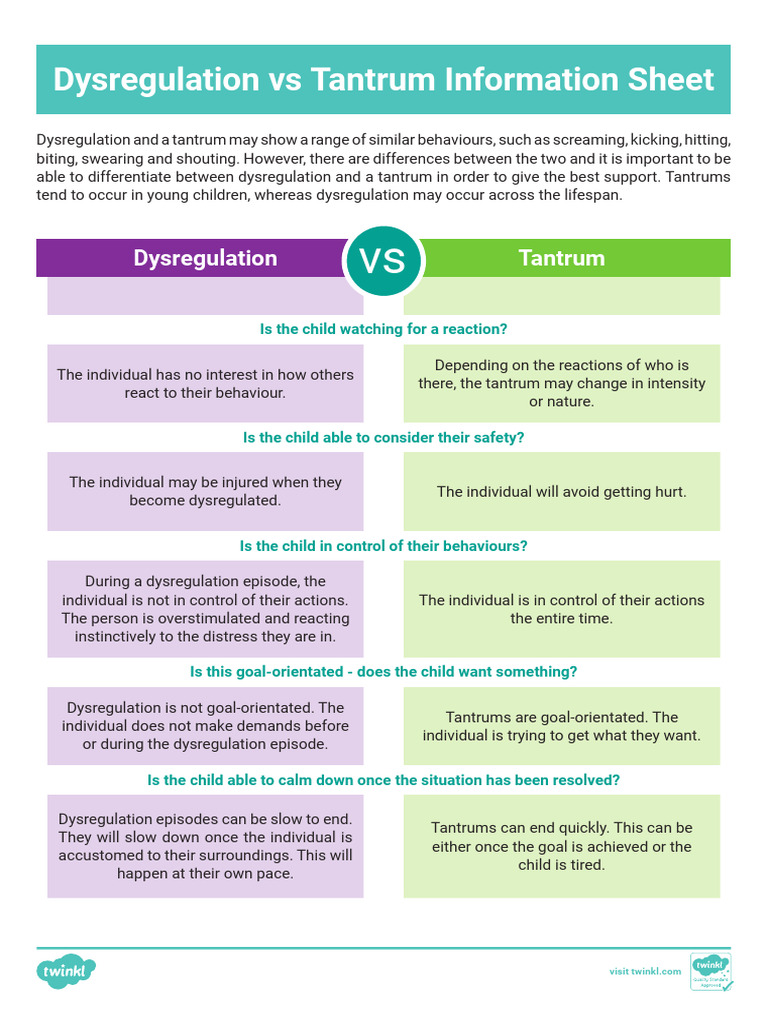 T S 3756 Dysregulation Vs Tantrum Information Sheet - Ver - 1 | PDF