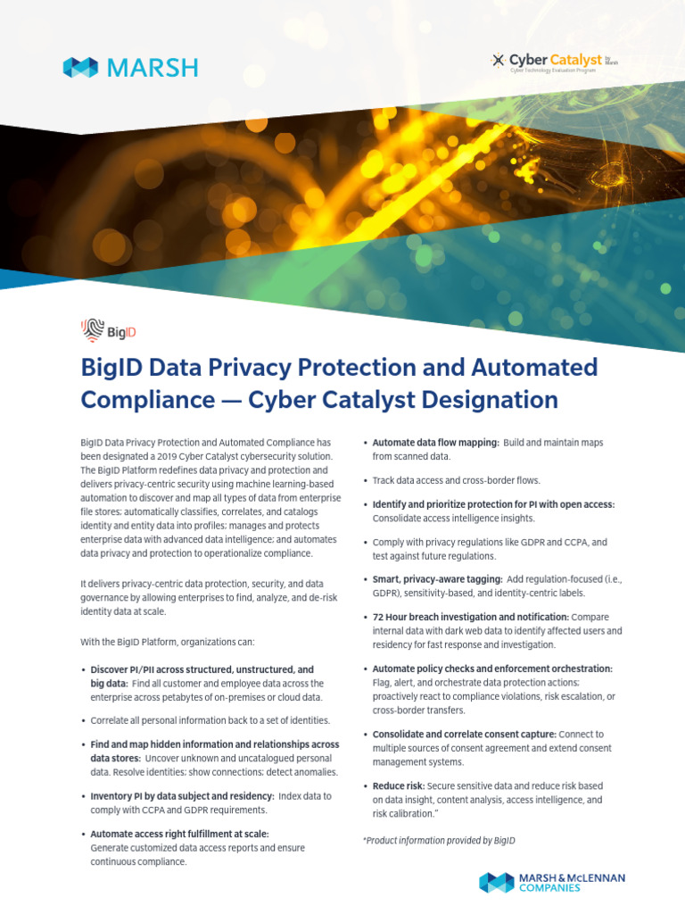 Big ID | PDF
