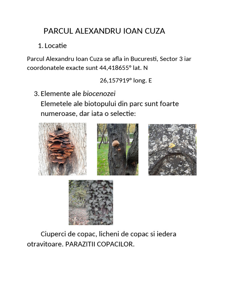 Proiect BIOLOGIE. Parcul | PDF