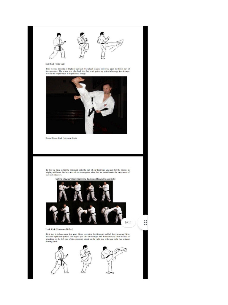 Karate | PDF