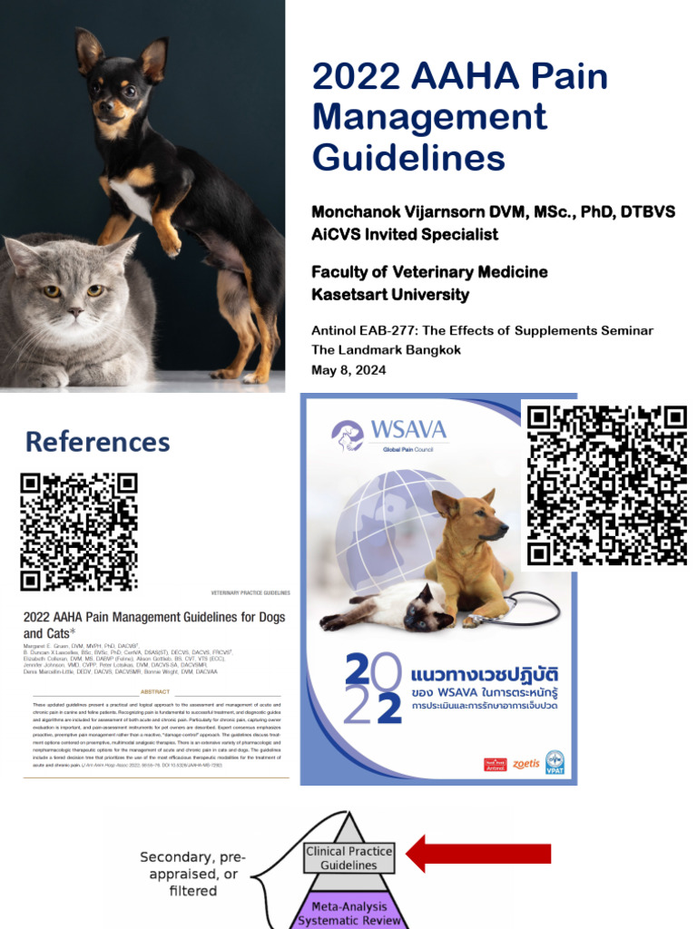 Update 2022 AAHA Pain Management Guidelines | PDF
