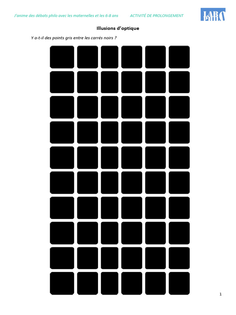 La Perception - Les Illusions D'optique | PDF