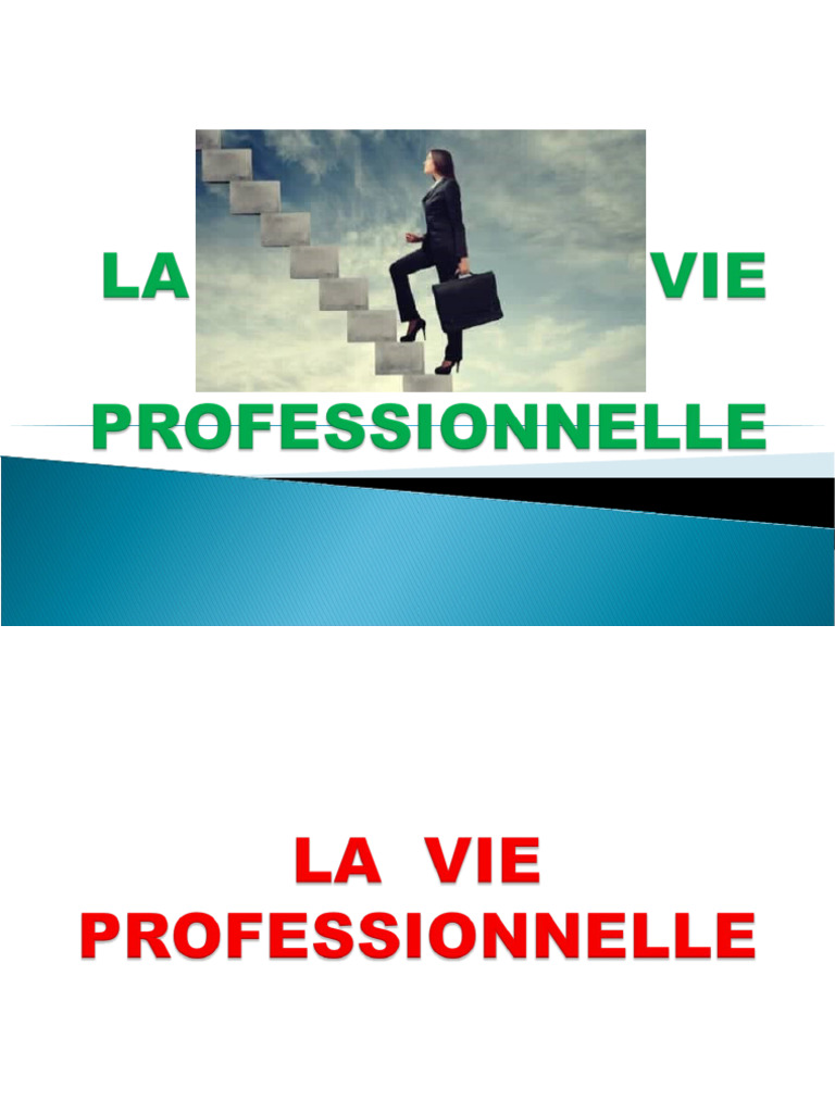 001 La Vie Professionnelle | PDF