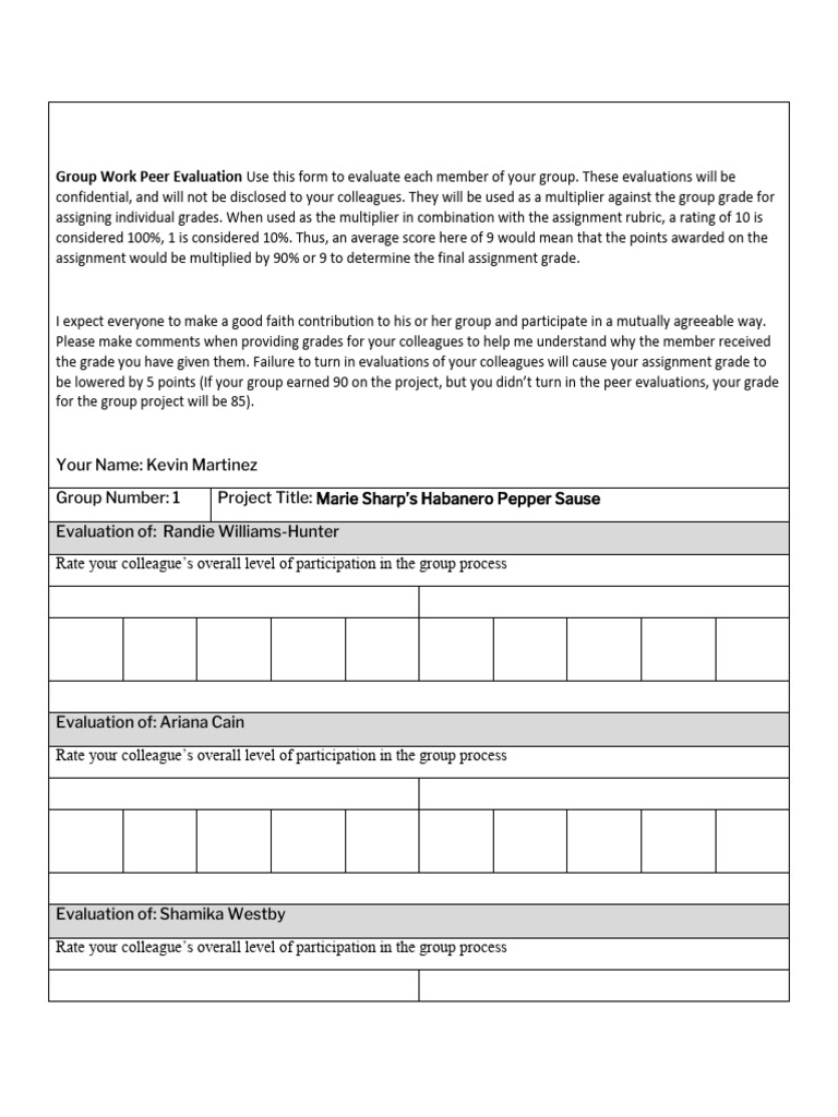 Group Work Peer Evaluation POM | PDF