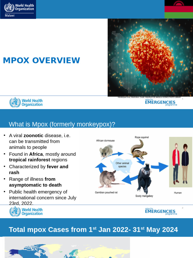 Mpox Overview Simex 10072024 Vtm-1 | PDF