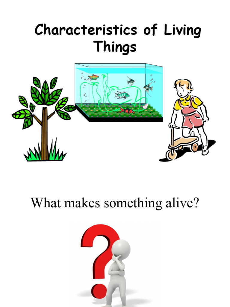 Characteristics of Living Things | PDF
