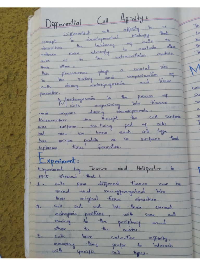 Differential Cell Affinity | PDF