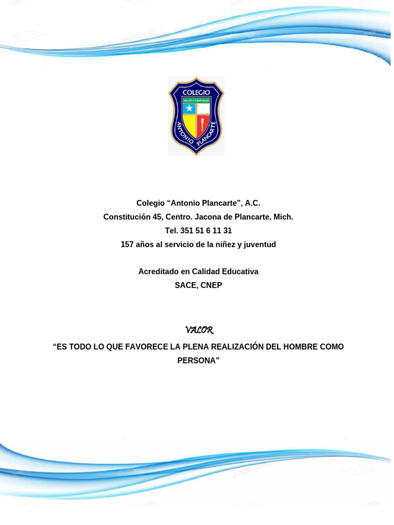 Proyecto de Valores 2024-2025 | PDF