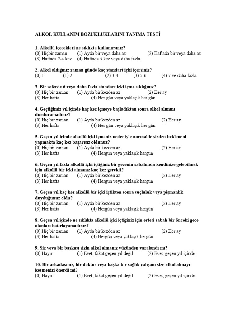AUDIT Turkish | PDF