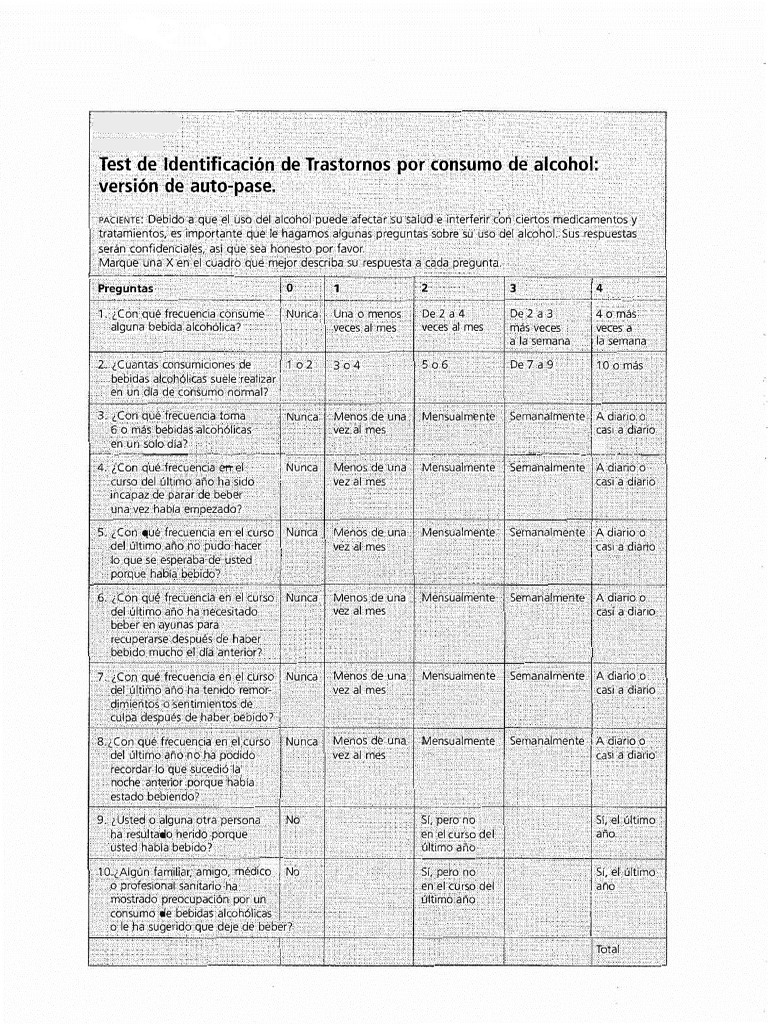AUDIT Spanish | PDF