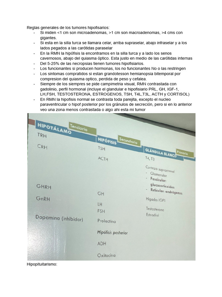 Super Mega Resumen Endocrino | PDF